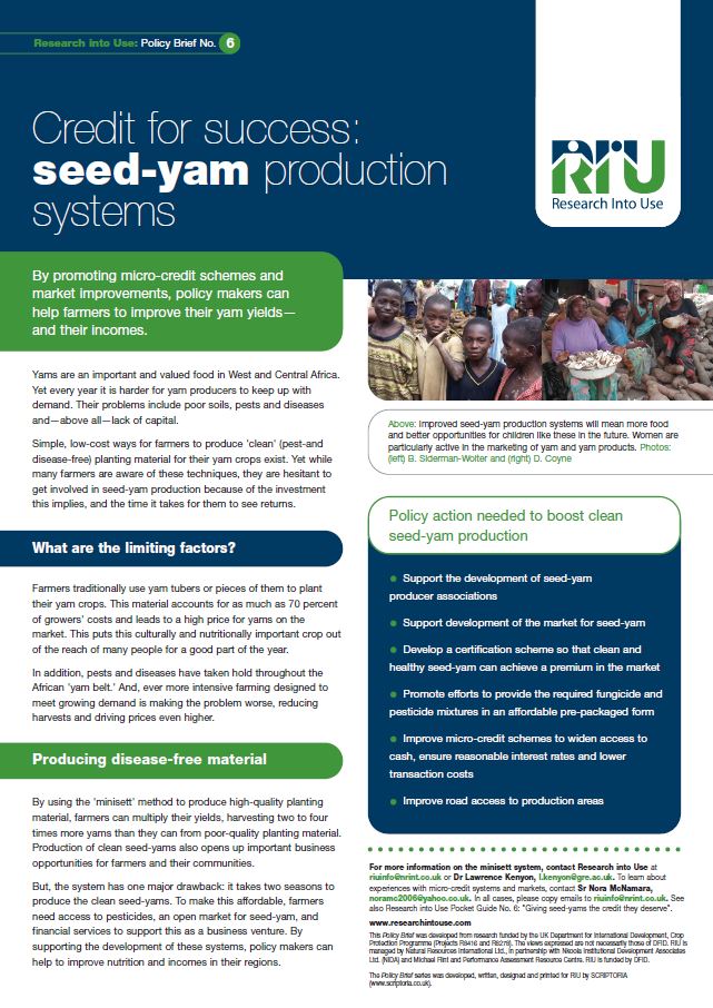 Credit for success: seed yam production systems | AgShare.Today ...