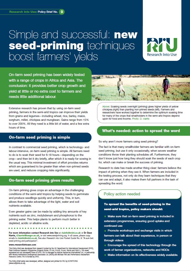 Simple and successful: new seed priming techniques boost farmers ...