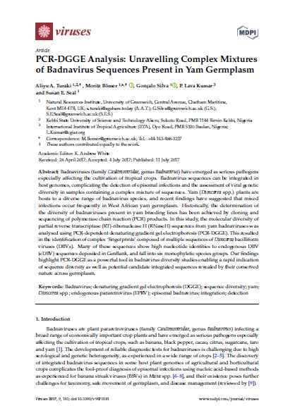 Unravelling complex mixtures of badnavirus sequences present in yam ...