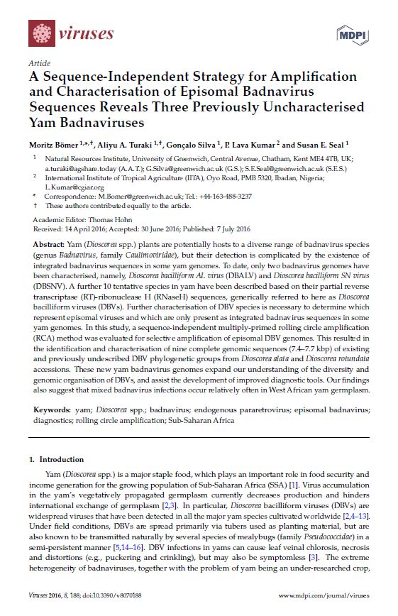 A sequence-independent strategy for amplification and characterisation ...
