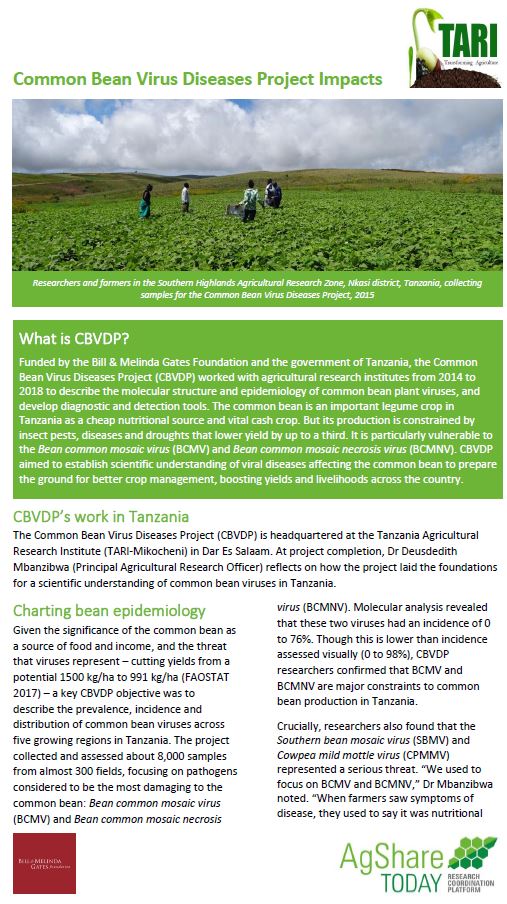 Common Bean Virus Diseases Project impacts | AgShare.Today Resource Centre