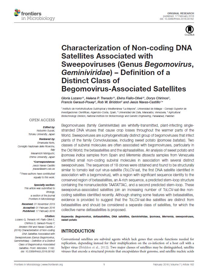 Characterisation of non-coding DNA satellites associated with ...